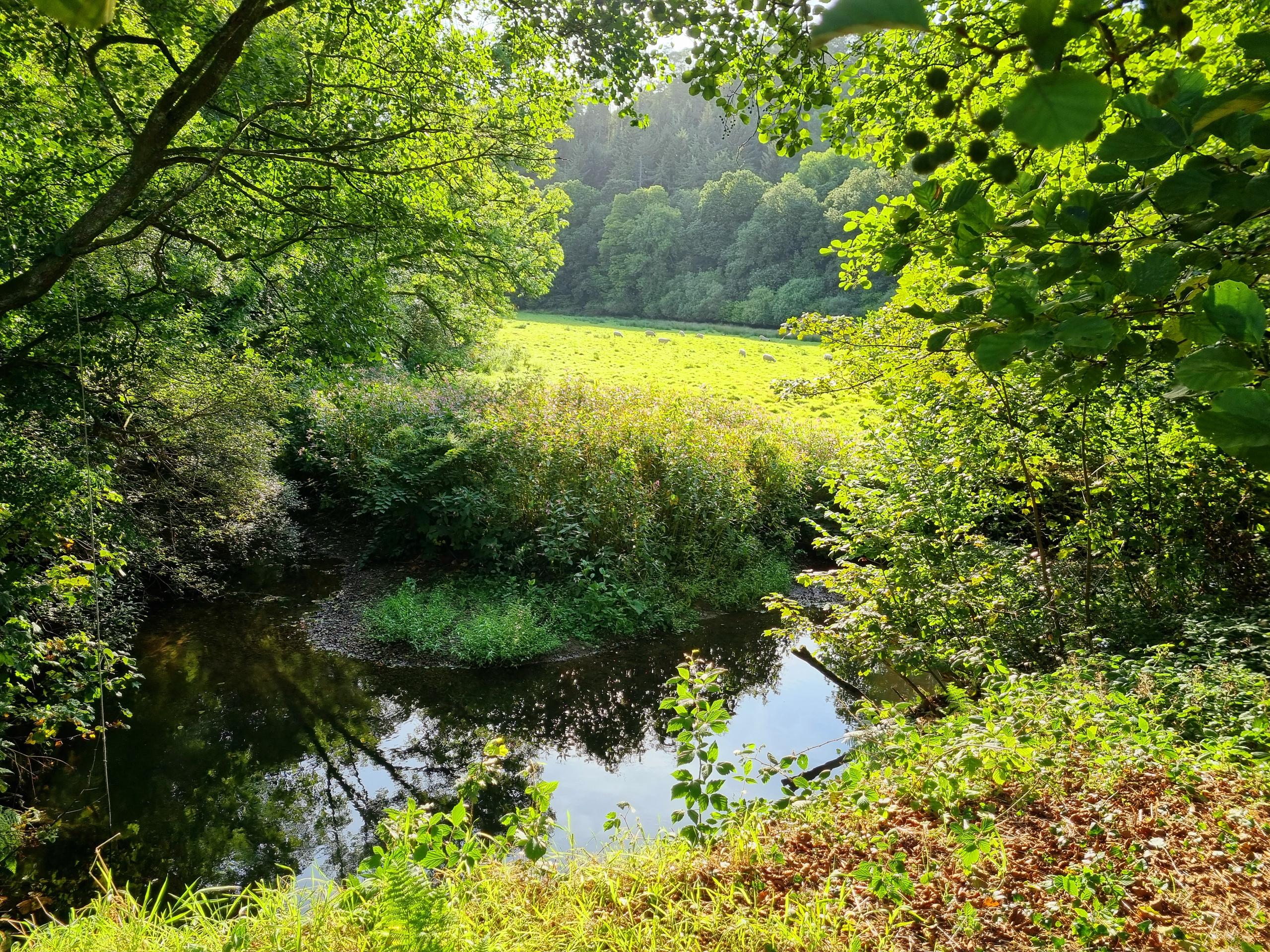 Inner Path Wellbeing Solutions