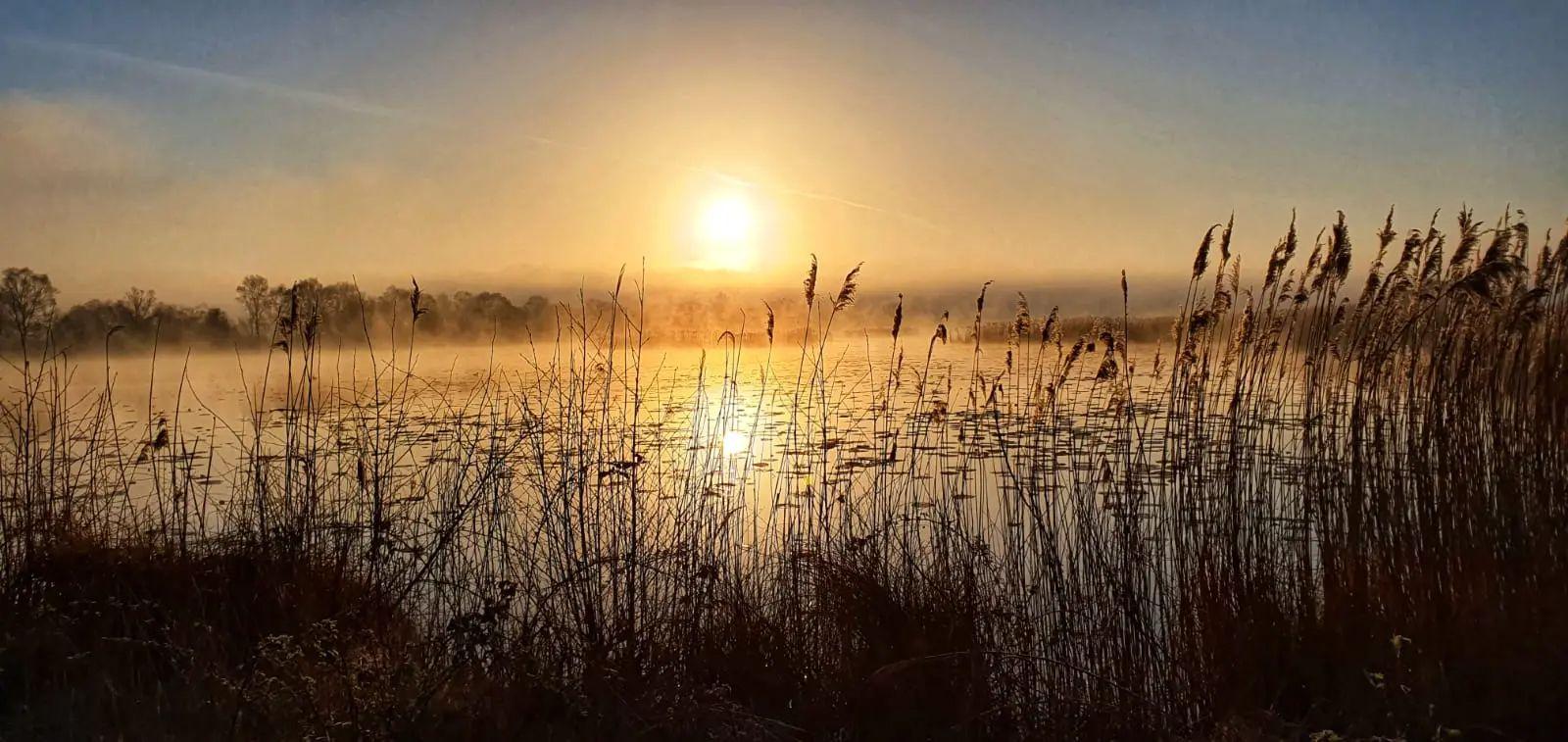 Home Page [innerpathwellbeing.co.uk]