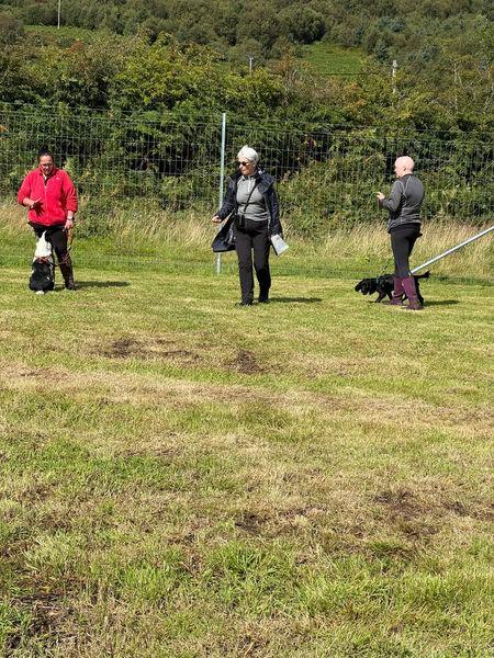 Arran Dogs Training and Exercise