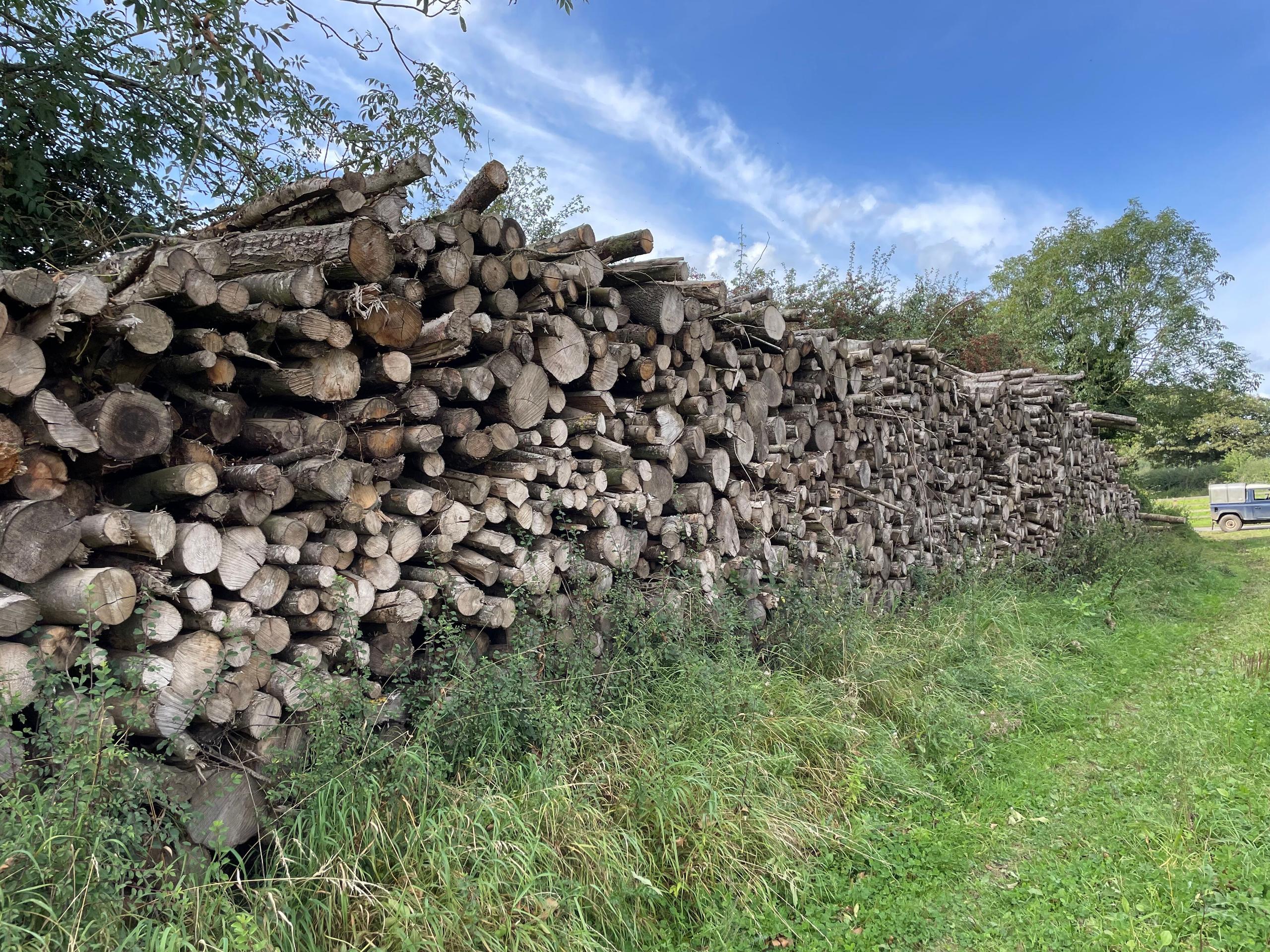 Home Page [www.tanfieldlogs.co.uk]