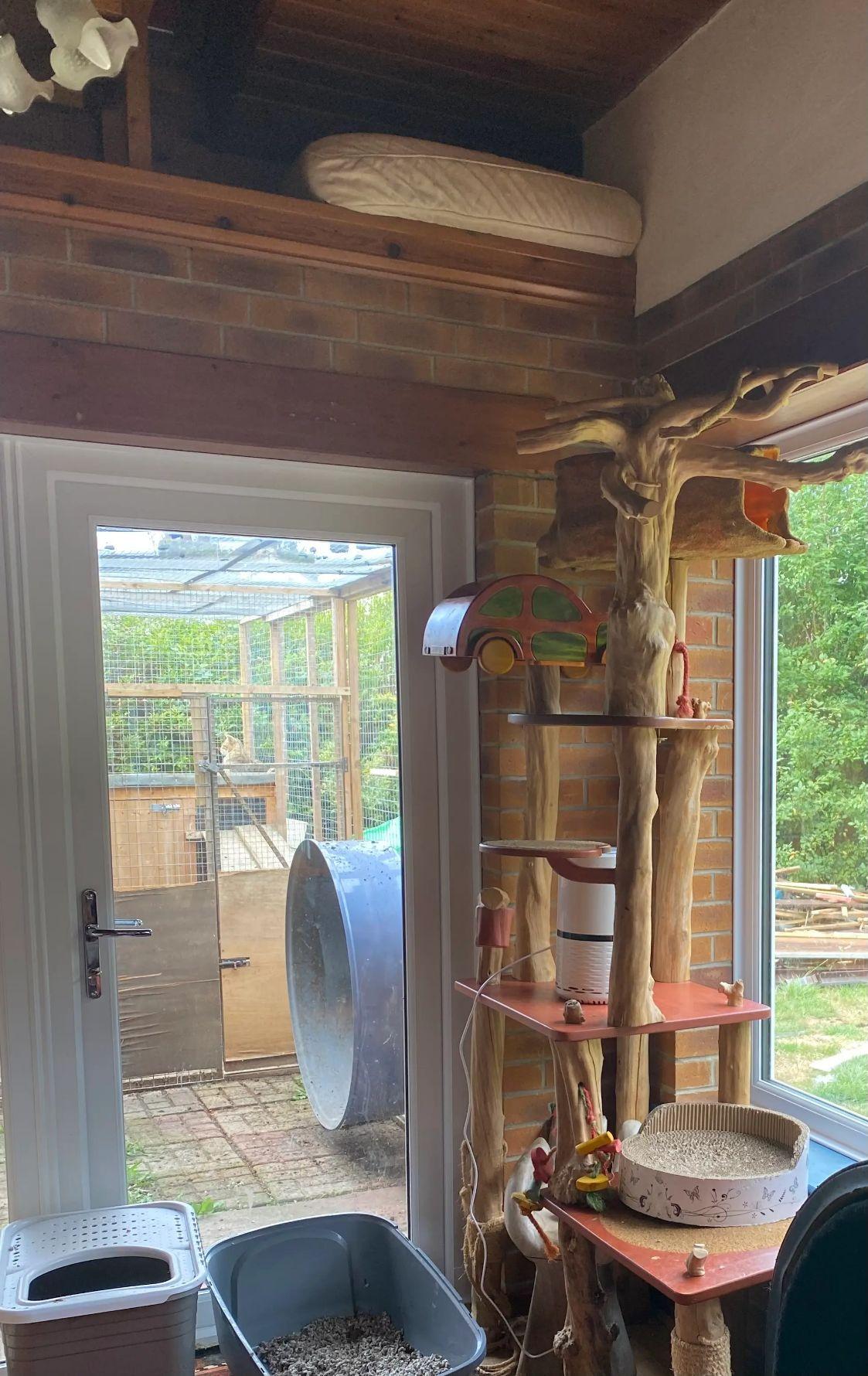 Boarding Cattery
