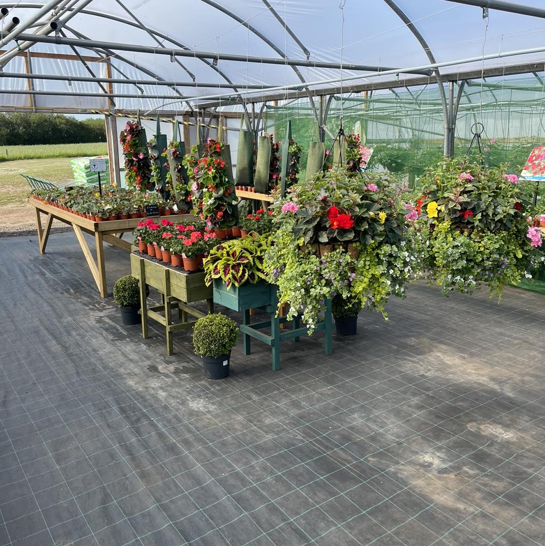 Needhams Nurseries Tickhill
