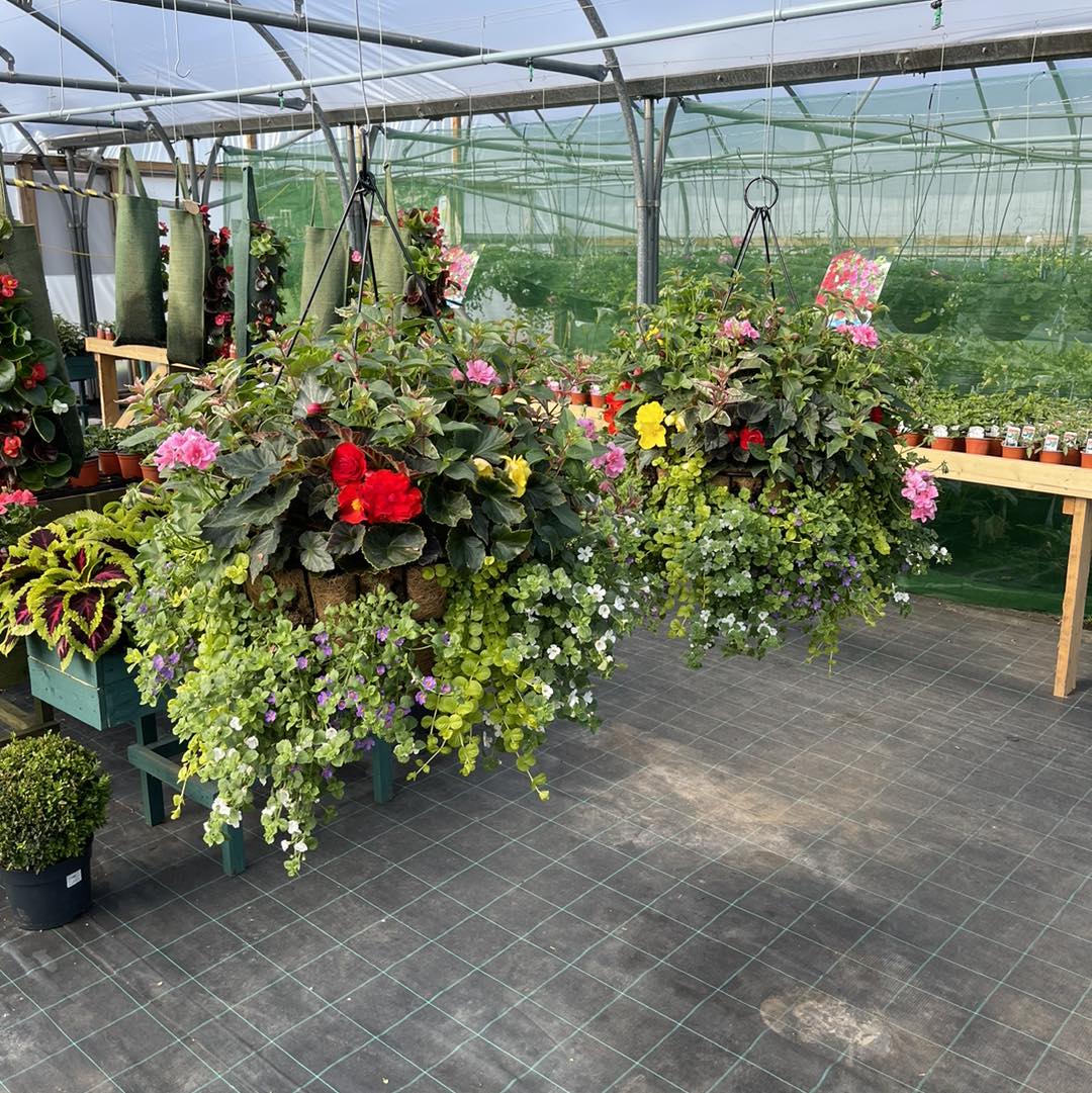 Needhams Nurseries Tickhill