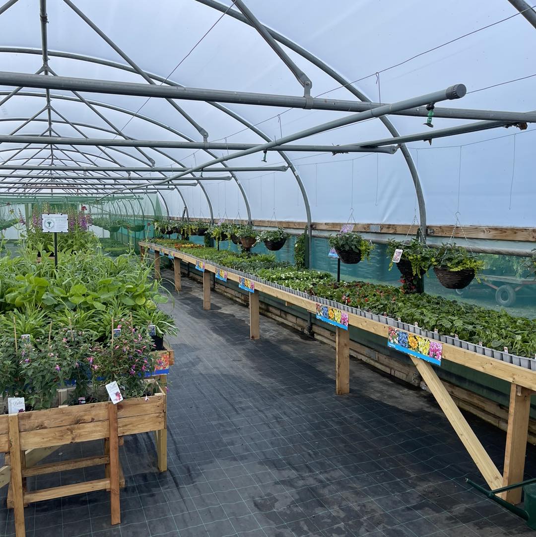 Needhams Nurseries Tickhill