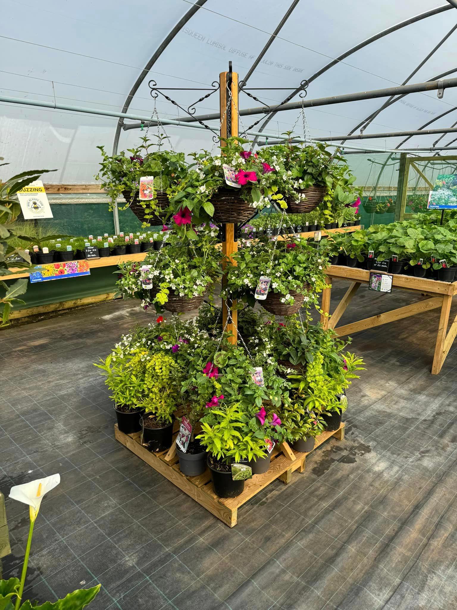 Needhams Nurseries Tickhill