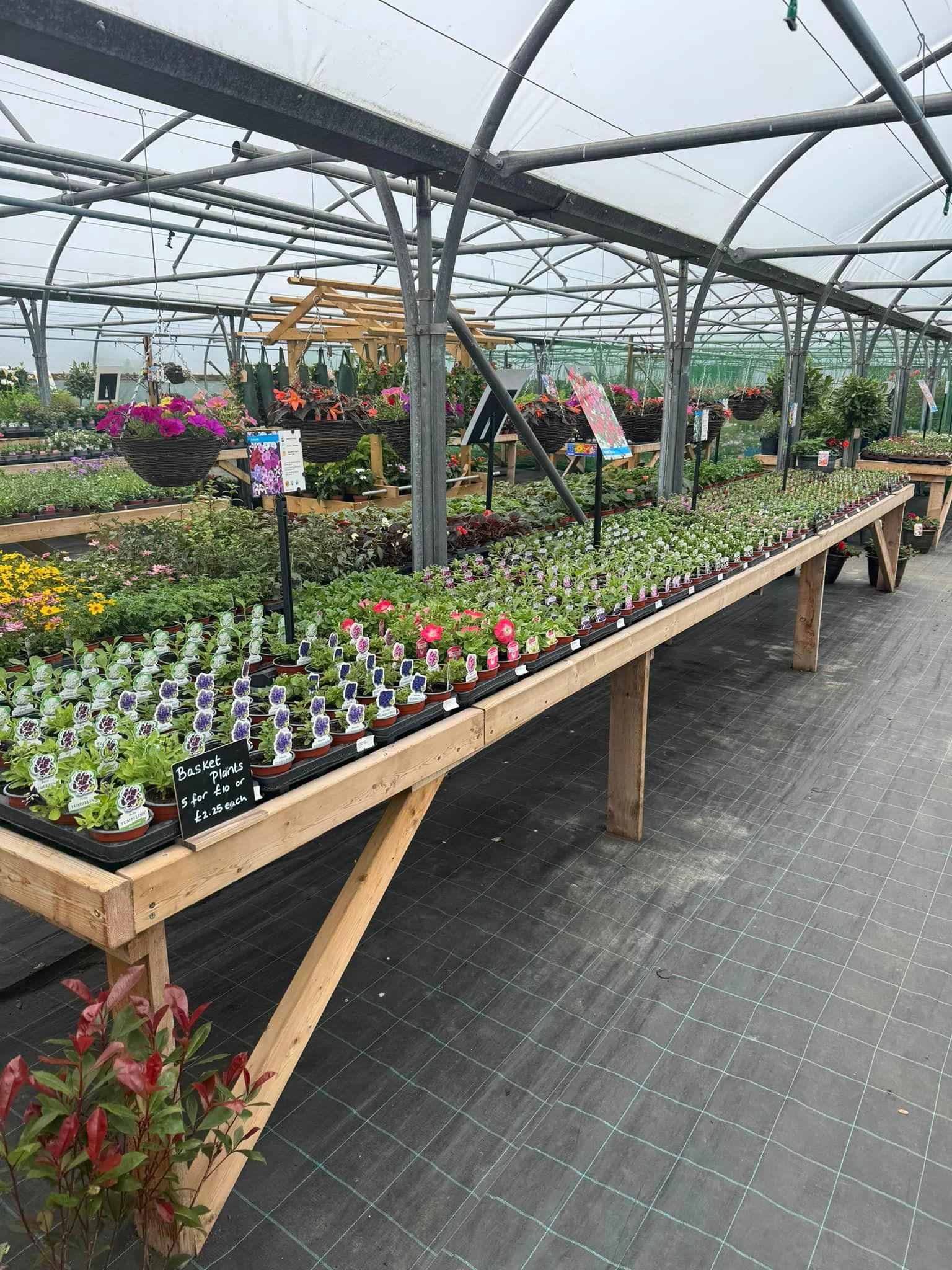 Needhams Nurseries Tickhill