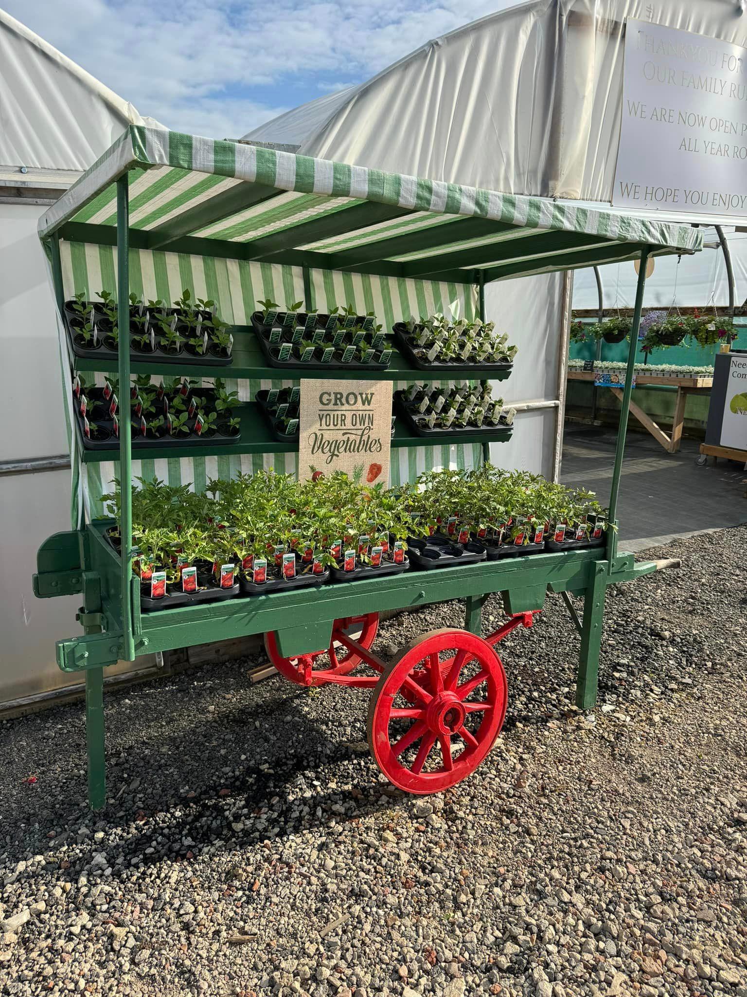 Needhams Nurseries Tickhill