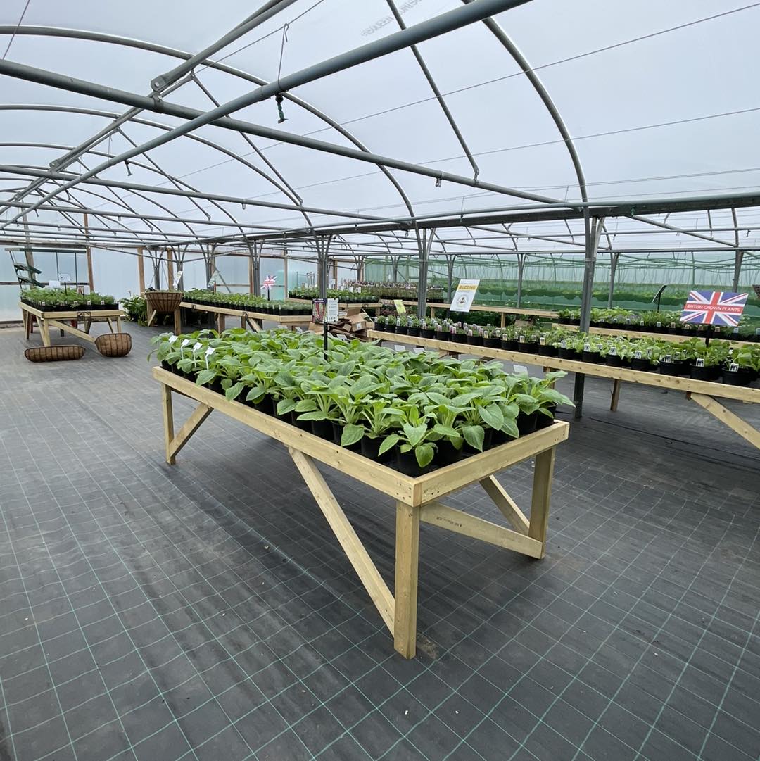 Needhams Nurseries Tickhill