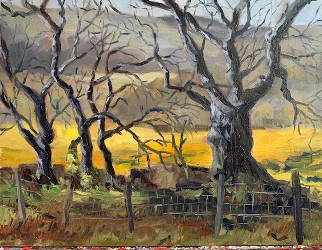 Home Page [www.nigelwilliams-fineart.co.uk]