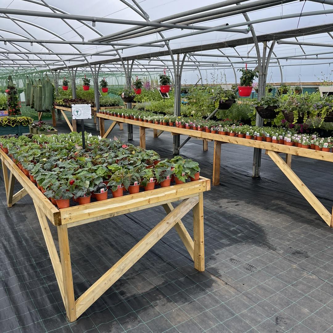 Needhams Nurseries Tickhill