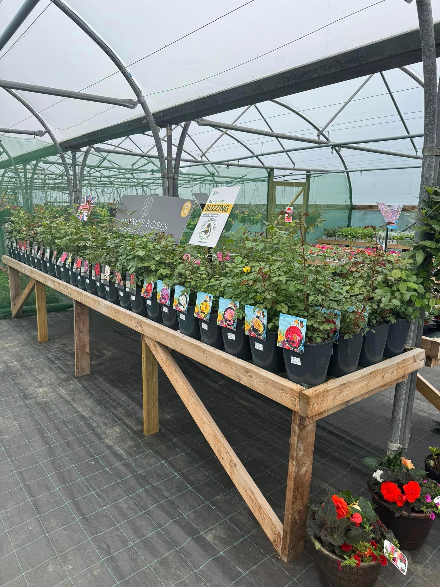 Needhams Nurseries Tickhill