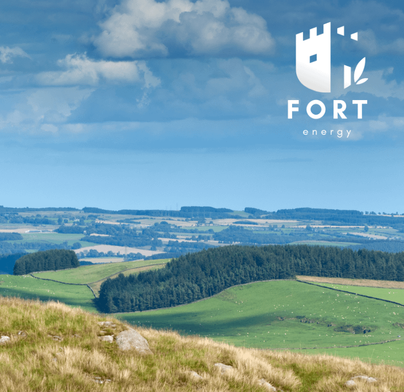 Home Page [www.fortenergy.co.uk]