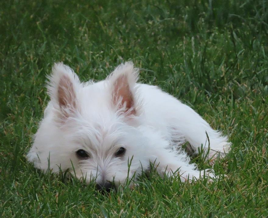 Home Page [www.dockerill.net]