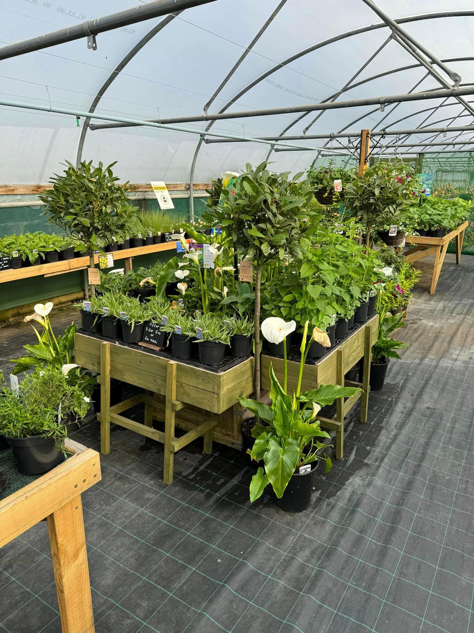 Needhams Nurseries Tickhill