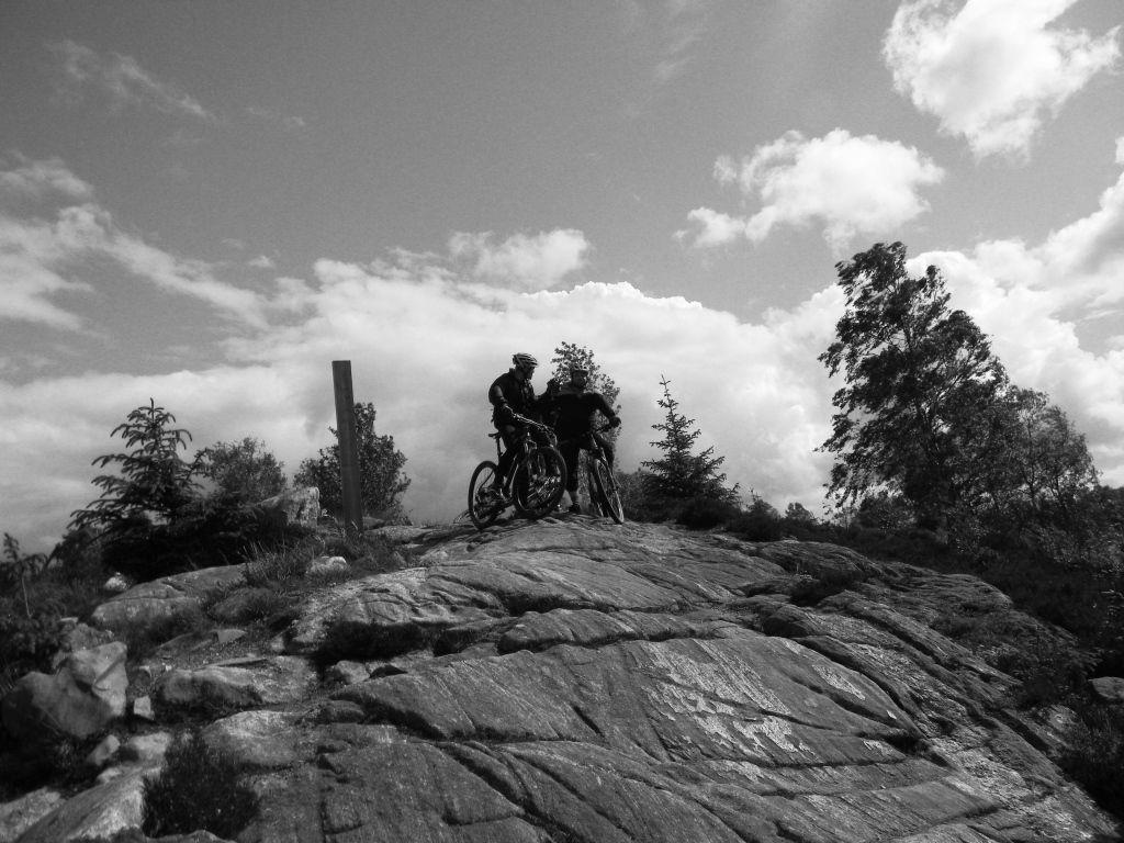 Home Page [www.promtb.co.uk]